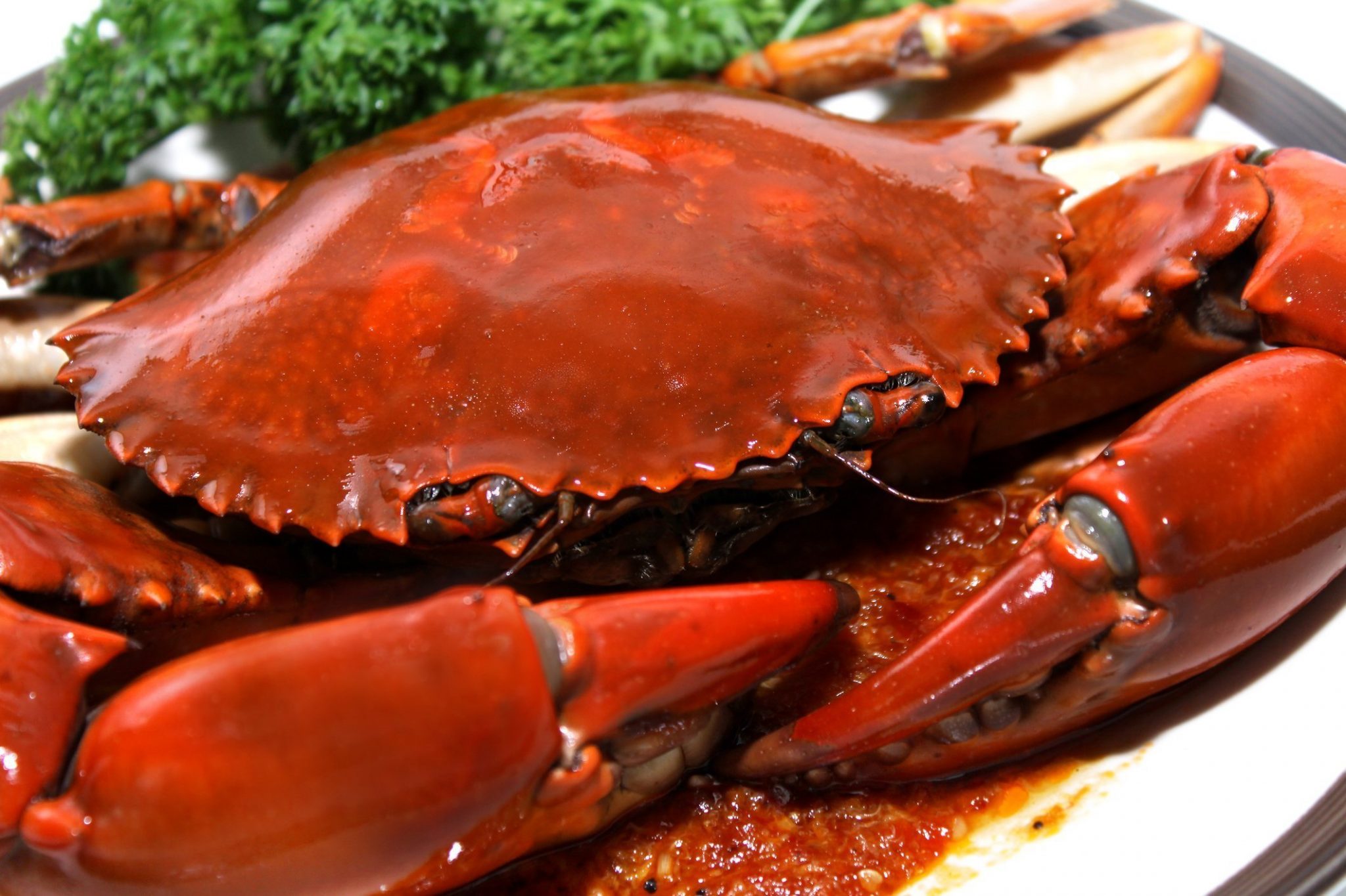 8 Crabs | Crab Delivery Singapore | Seafood Delivery Singapore - 8 ...